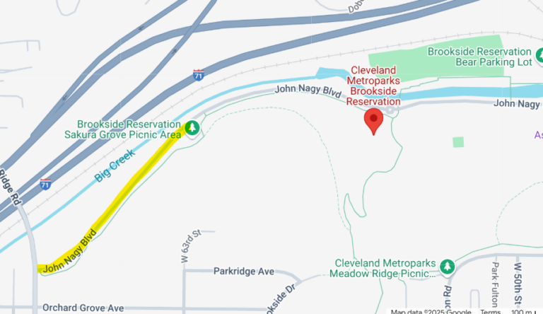 Brookside Reservation Cherry Blossoms Guide- OhioParkQuests
