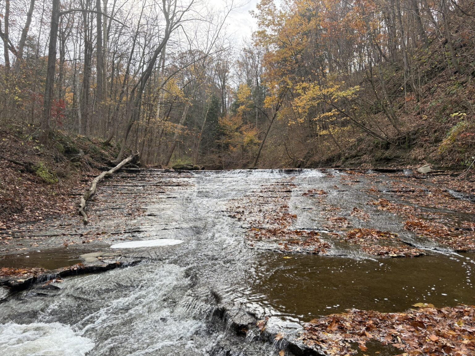 Easiest Hikes in Cuyahoga Valley National Park (Local Guide ...